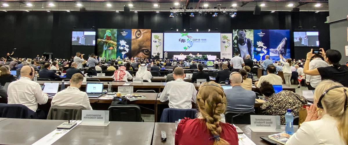 Die CITES COP 19 in Panama City hat begonnen - VDA-online